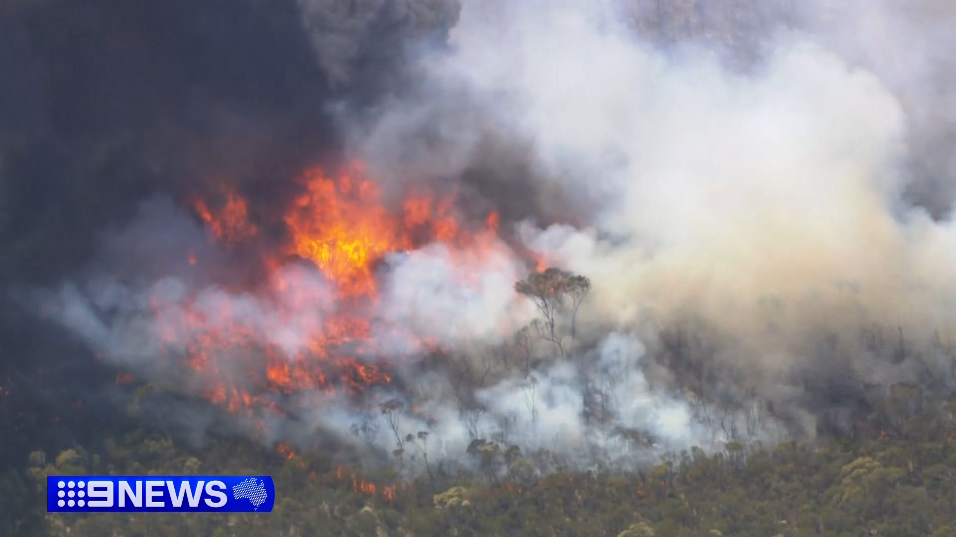 'Everything I worked for': Man's home destroyed in Victorian bushfire