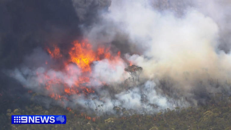 'Everything I worked for': Man's home destroyed in Victorian bushfire
