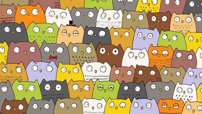 Picture Puzzle: Spot The Elusive Cat Hidden Among Owls! Only 1% ...