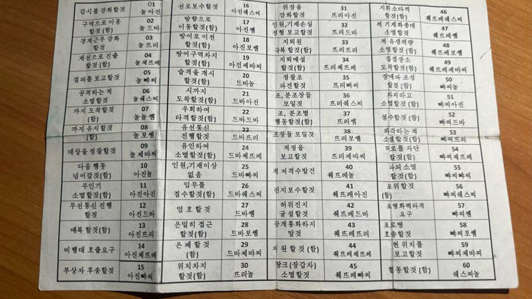 Suicidal tendencies and ’80s battlefield tactics: How North Korean ...