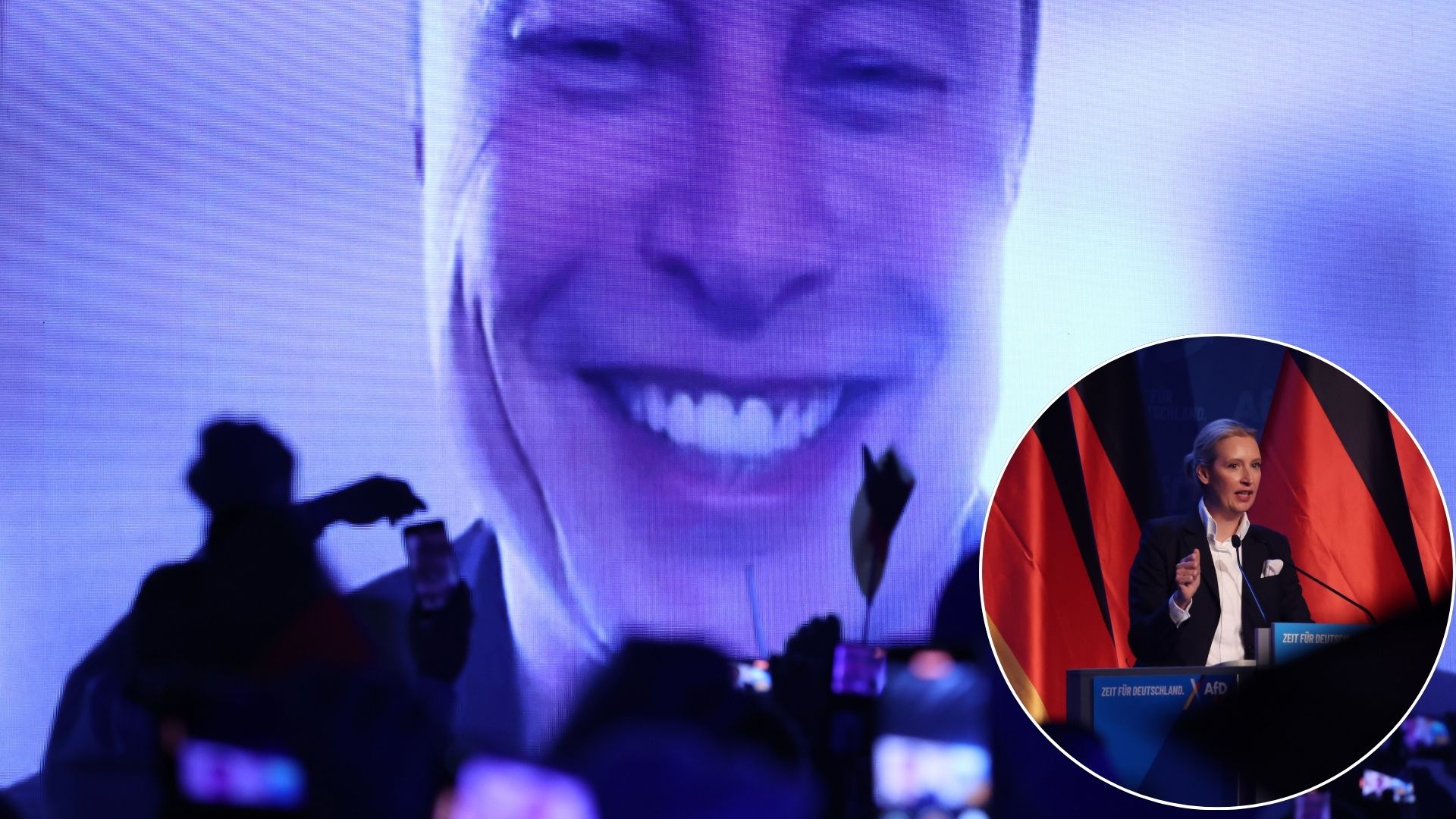 Elon Musk encourages the German far-right party and sparks (another ...