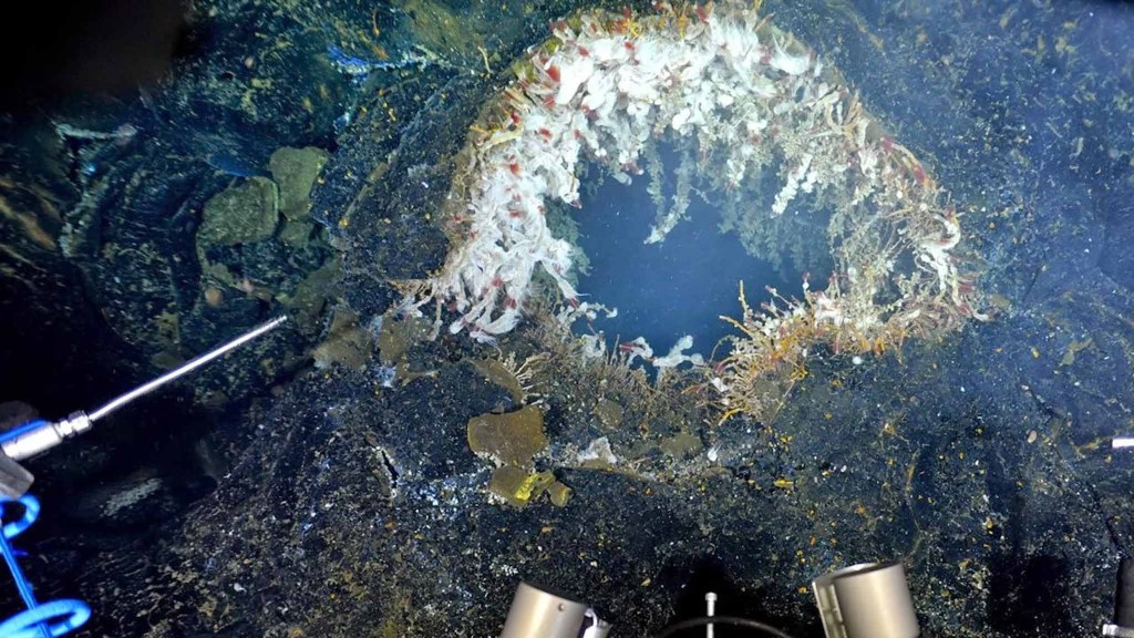 Massive underwater volcano off US coast could erupt at any moment