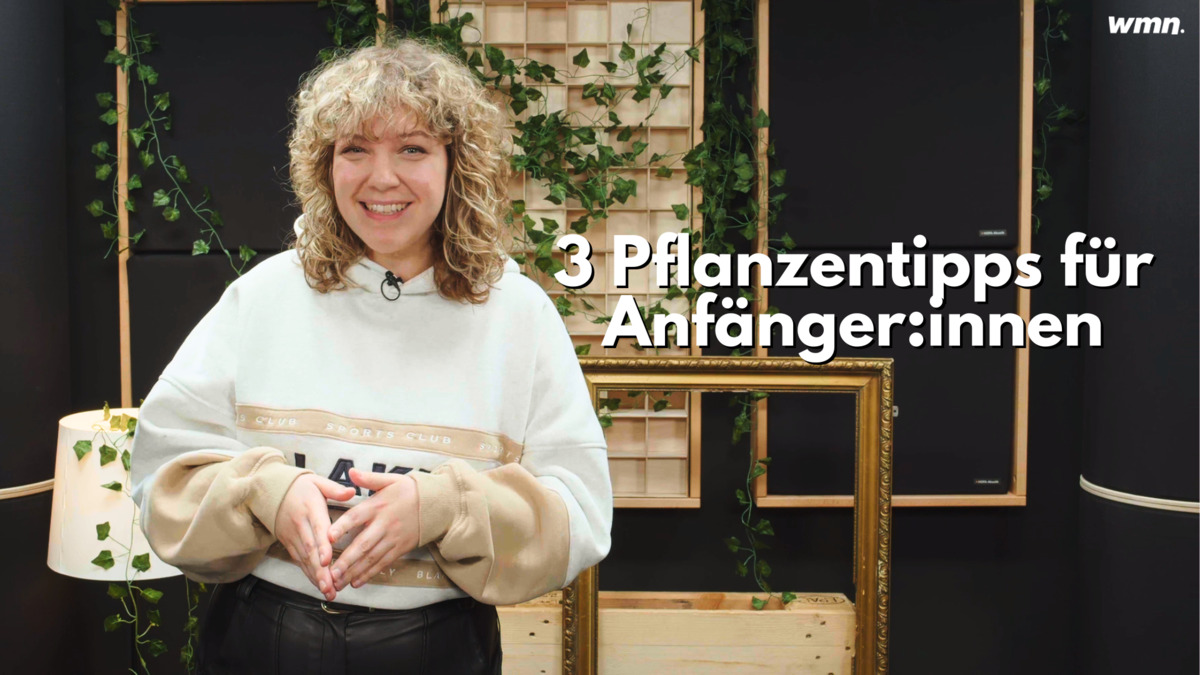 3 Pflanzentipps für Anfänger:innen