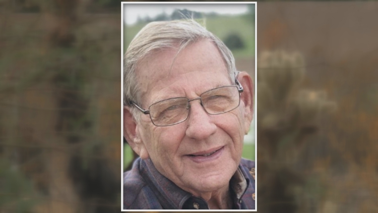 An 85-year-old Alzheimer's patient walked out into deadly Arizona heat ...