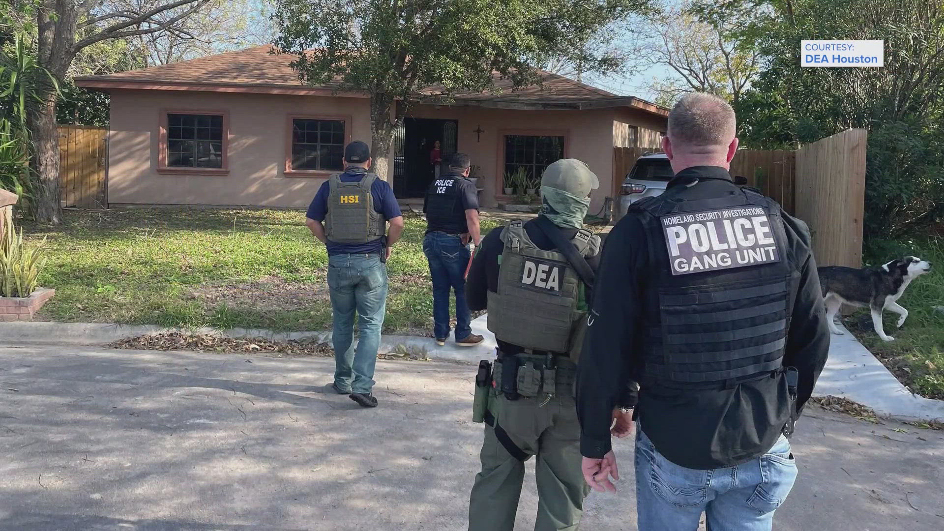 ICE reports one of its highest arrest days: Over 1,100 detained in 24 ...