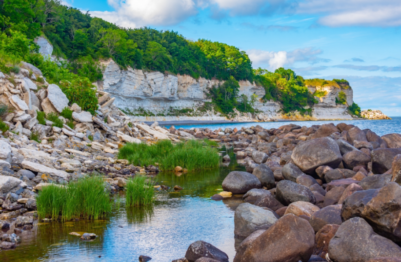 'Unusual discovery': 66 million-year-old fossilized fish vomit with sea ...