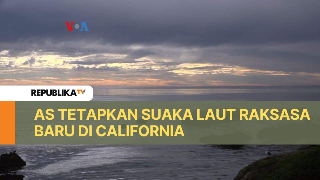 AS Tetapkan Suaka Laut Raksasa Laut di California