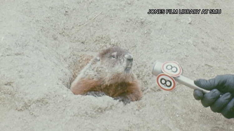 From the vault: How North Texas created its own Groundhog Day traditions