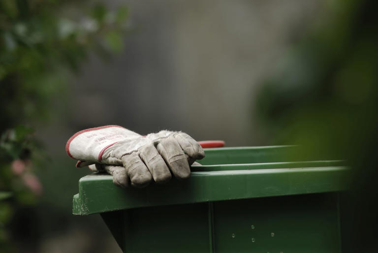 Toothpicks, bones and animal hair: What's allowed in your Windsor-Essex ...