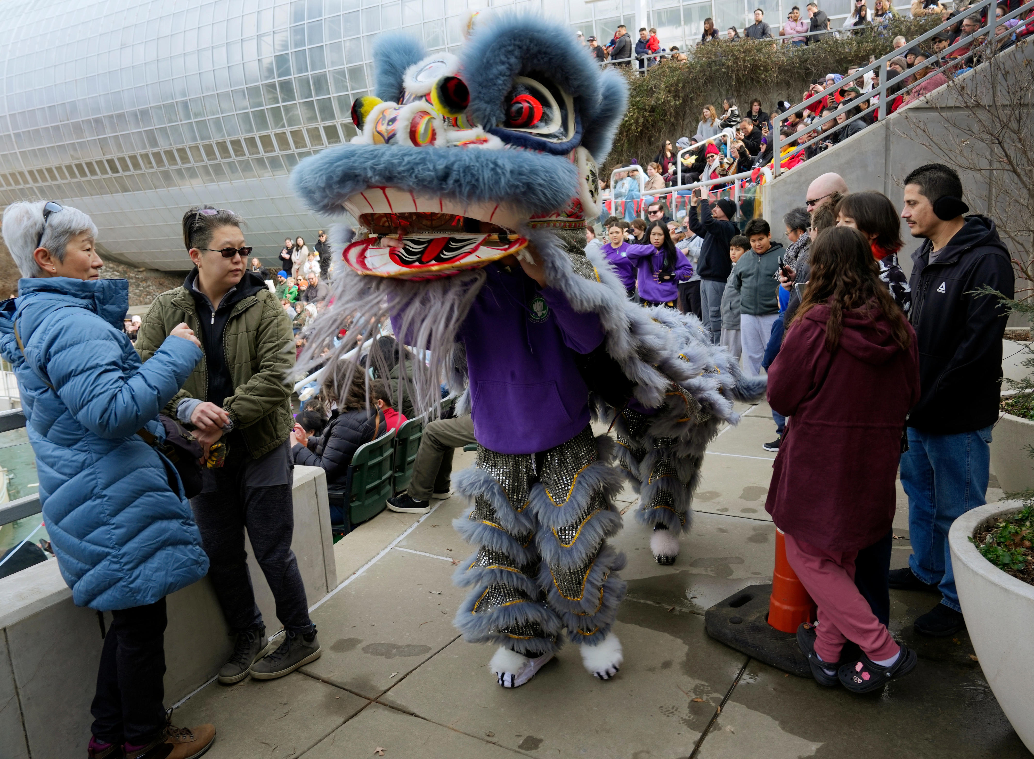 What is Lunar New Year? How long is the festival and why is it celebrated?