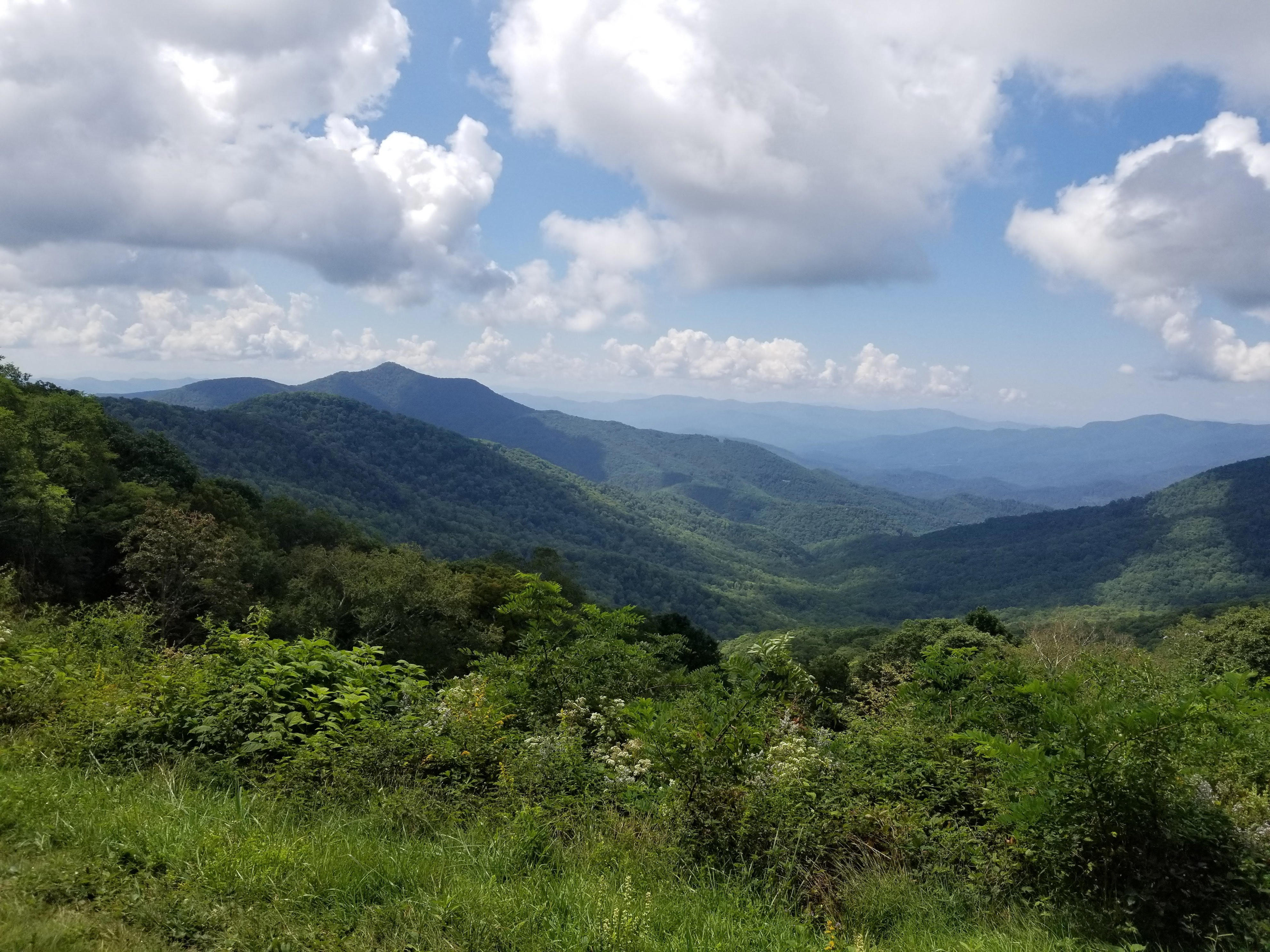 Blue Ridge Parkway 'critical' land in Balsam Mountains conserved after ...