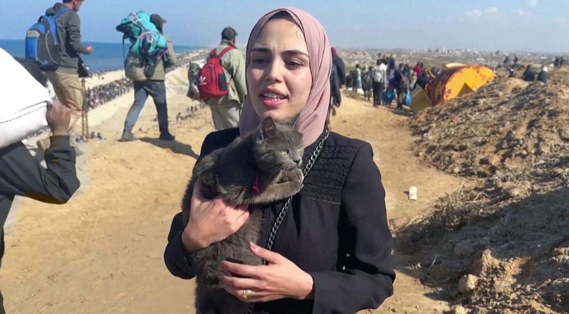 Voices of Gaza: Hala and her cat overcome displacement as they return ...