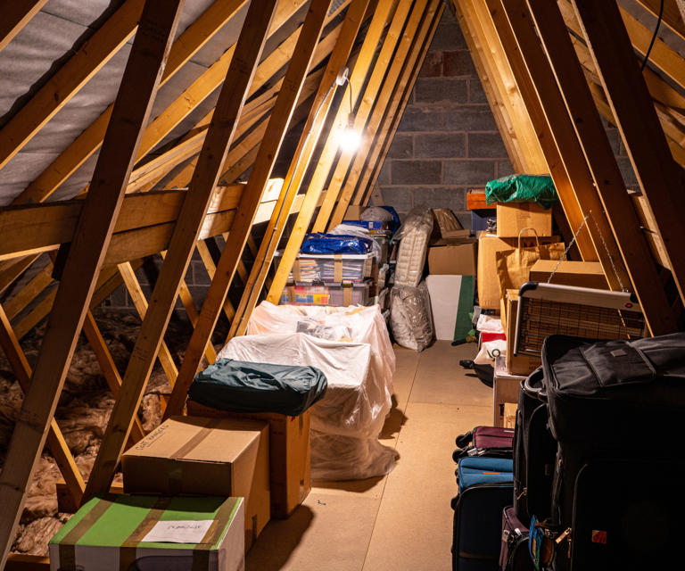 How to get rid of mice in the attic – banish these pesky invaders for ...