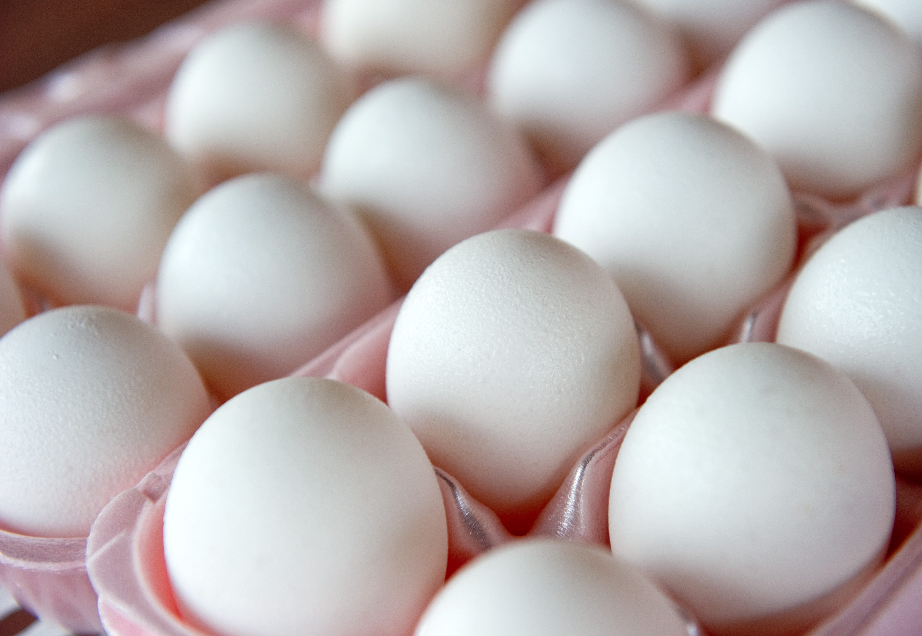 Why are egg prices so high? USDA predicts cost will keep rising due to ...