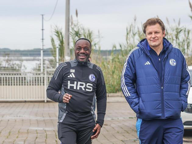 Neuer Schalke-Sportvorstand: Nur noch drei Kandidaten sind übrig Neuer Schalke-Sportvorstand: Nur noch drei Kandidaten sind übrig