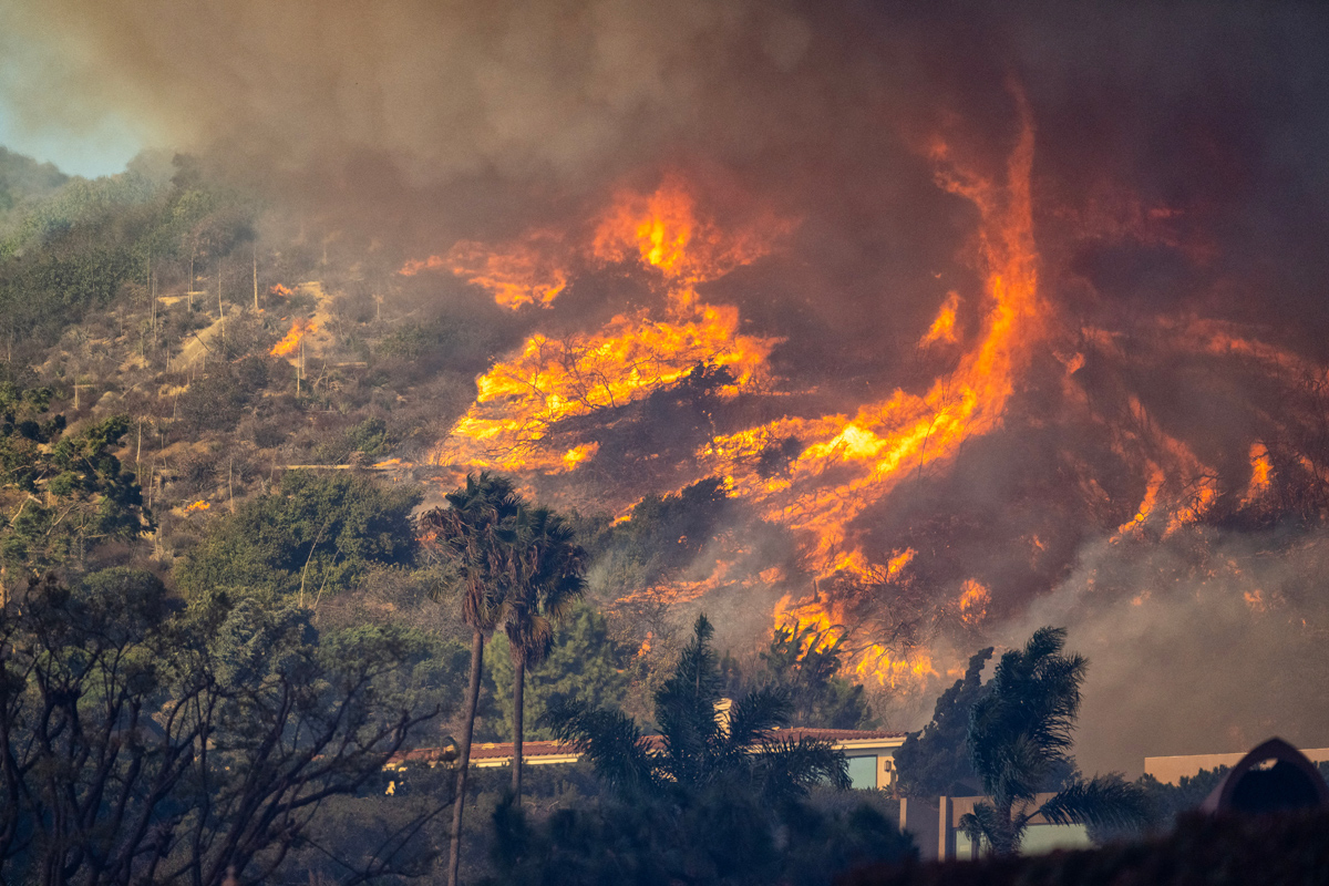 Photos: The Palisades Fire Scorches Parts of Los Angeles