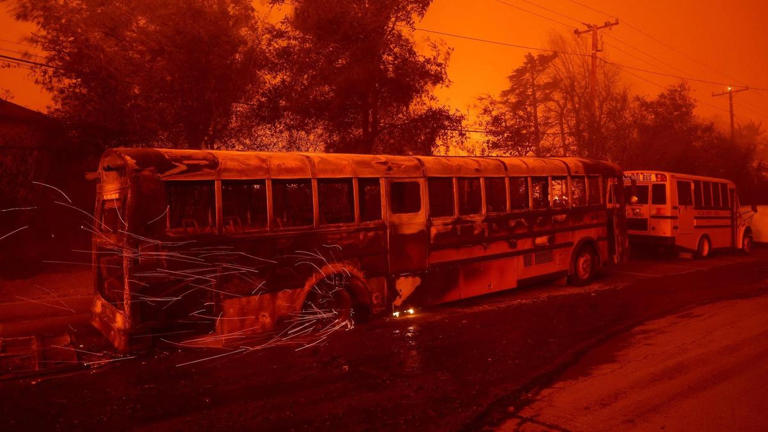 Wuthering Waves Brant Materials List: All Ascension & Forte Materials