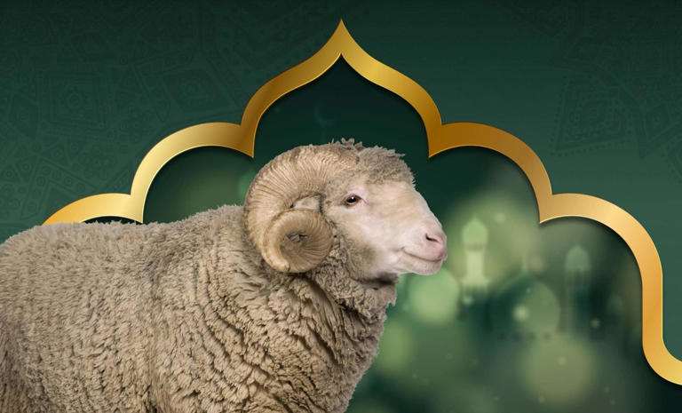 Aïd al-Adha 2026 en France : voici la date annoncée par le CFCM