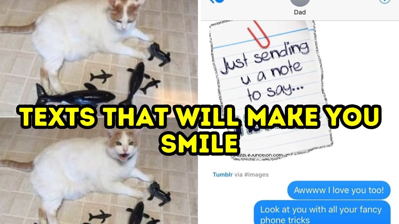 22 Hilarious Dad Texts That Will Make You Appreciate Fatherly Humor