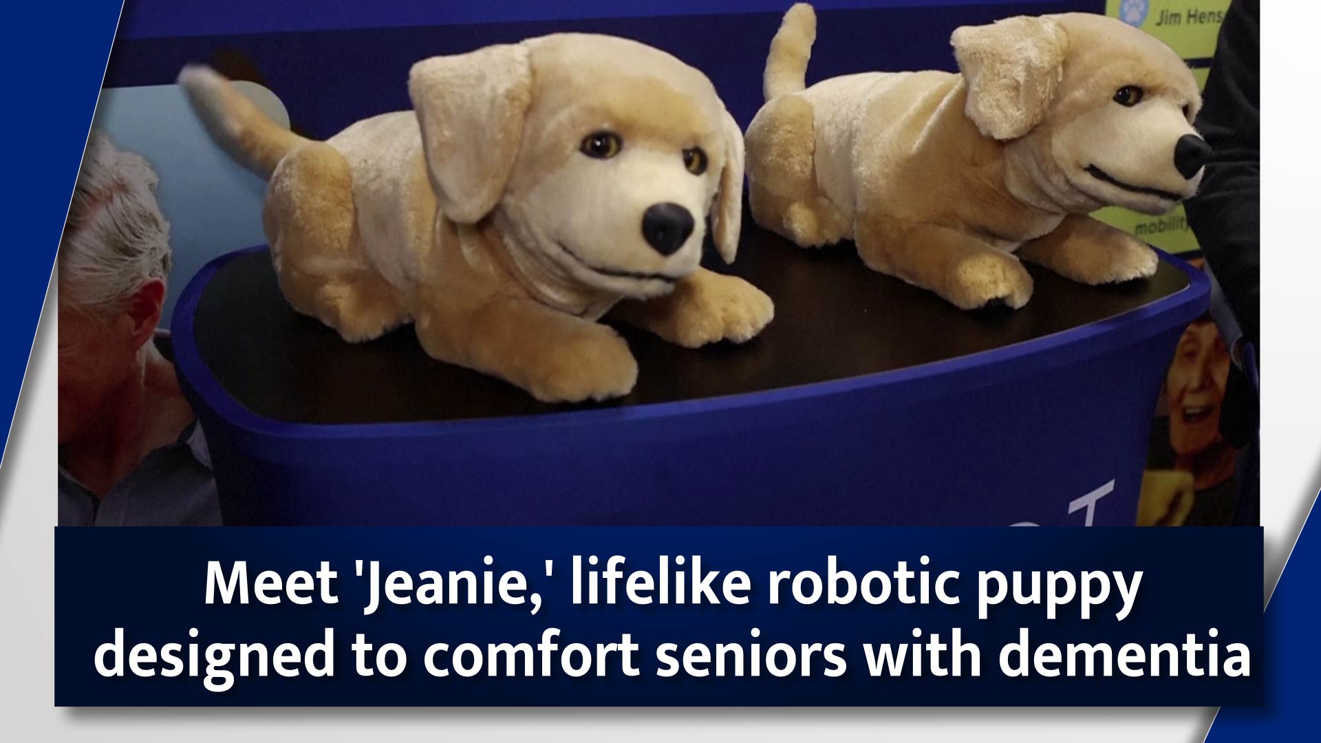 Meet 'Jeanie,' lifelike robotic puppy designed to comfort seniors with ...