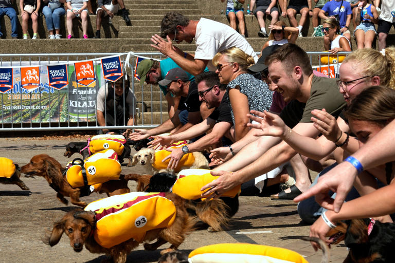 When is Oktoberfest, Taste of Cincinnati and Asian Food Fest? 2025 ...