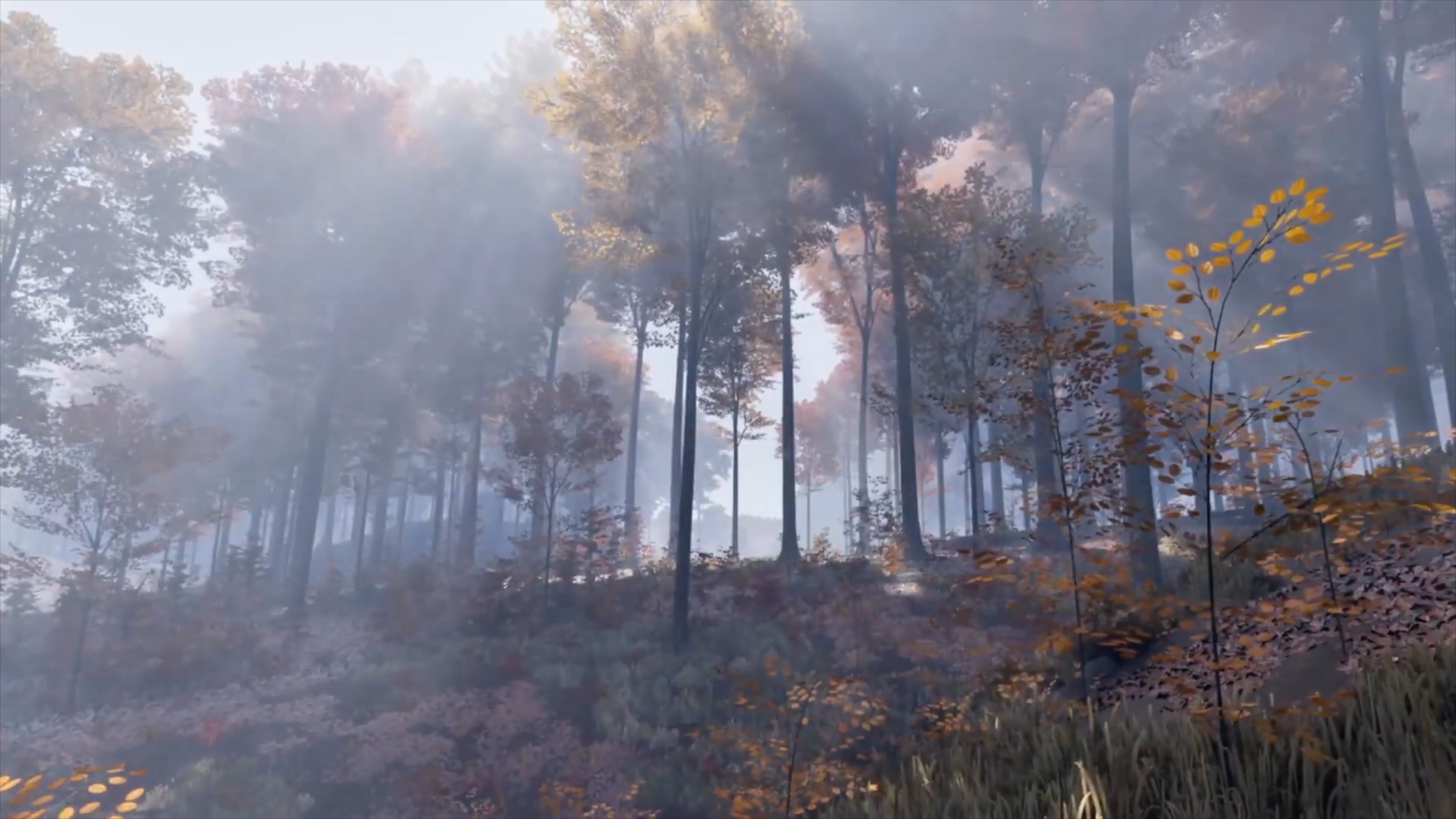 Prologue Go Wayback! Official First Look Video