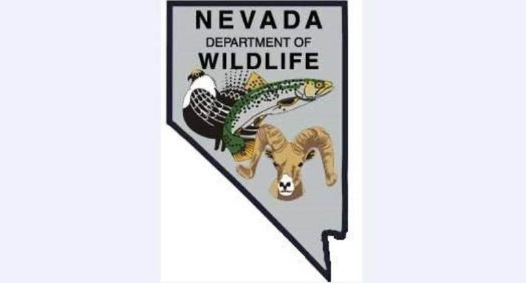 NDOW stocking Sparks Marina with 3,000 brown trout