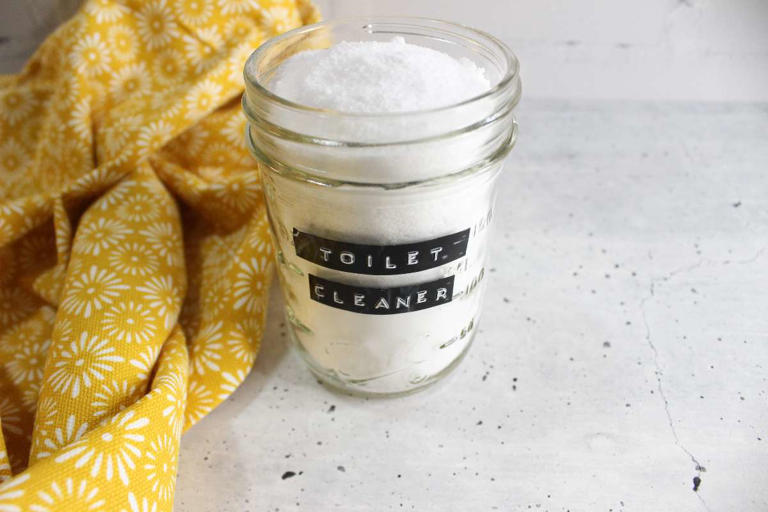 Easy DIY Toilet Bowl Cleaner Powder