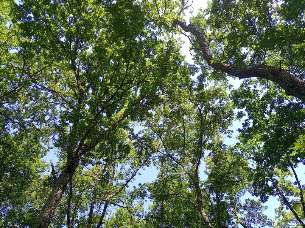 “Lerici terra di editori” ospita chi ha portato in libreria il caso ...