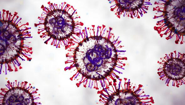 Mystery new HMPV virus could account for 1 in 20 respiratory infections ...