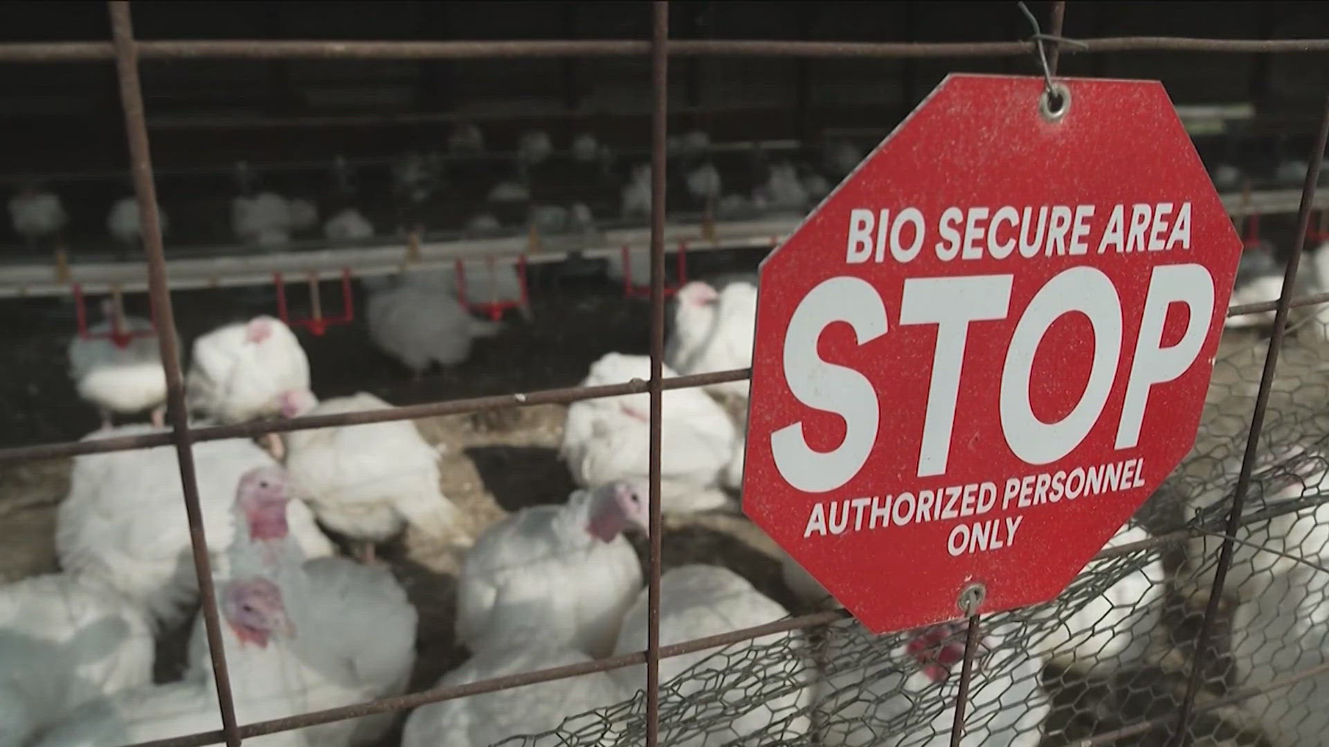 First bird-flu human death reported in US