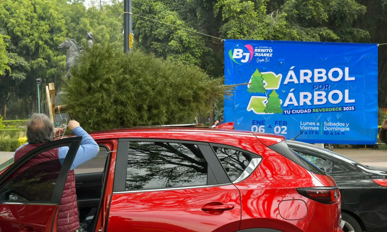 Alcaldía Benito Juárez se una a la campaña Árbol por Árbol Reverdece 2025
