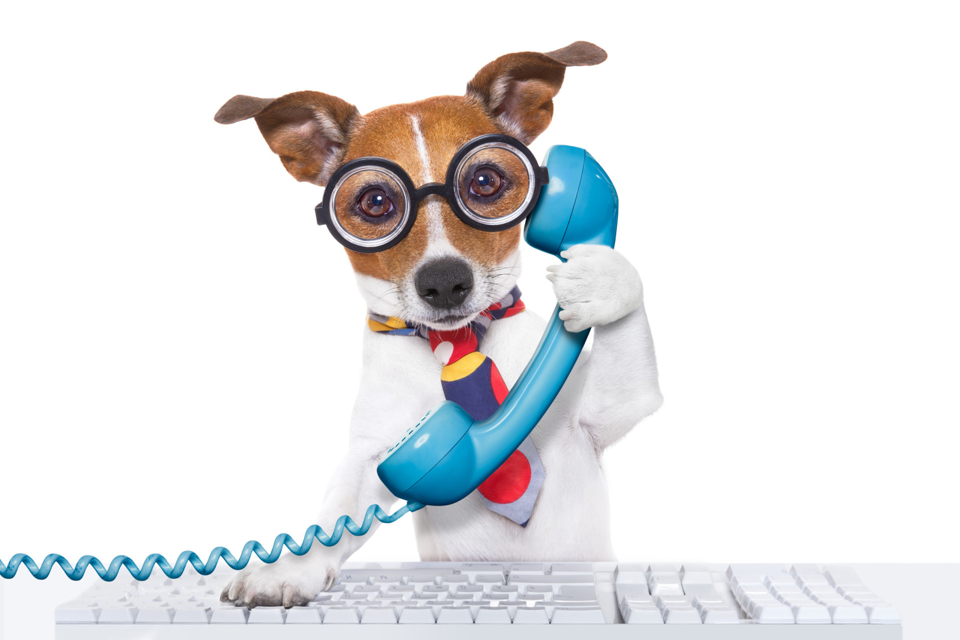 The best lines to deter a spam caller