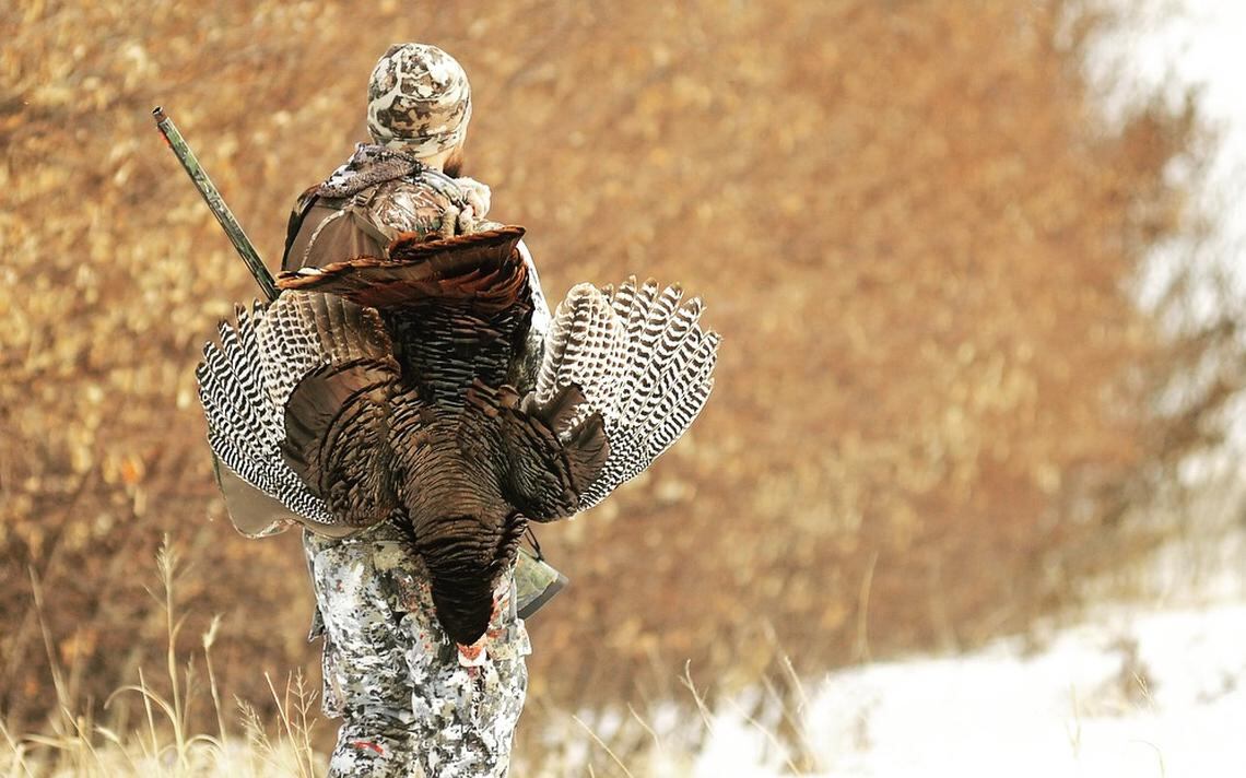 DNR accepting spring turkey hunting applications