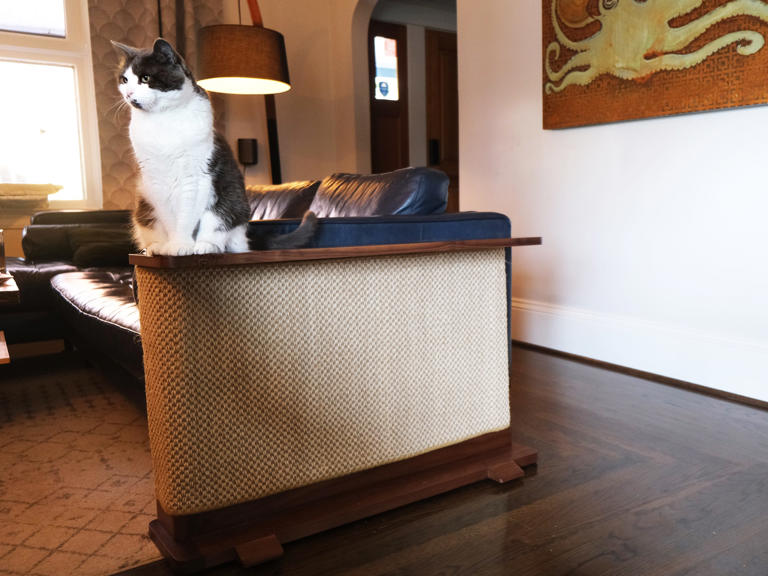 The 8 best products to stop cats from scratching furniture in 2025