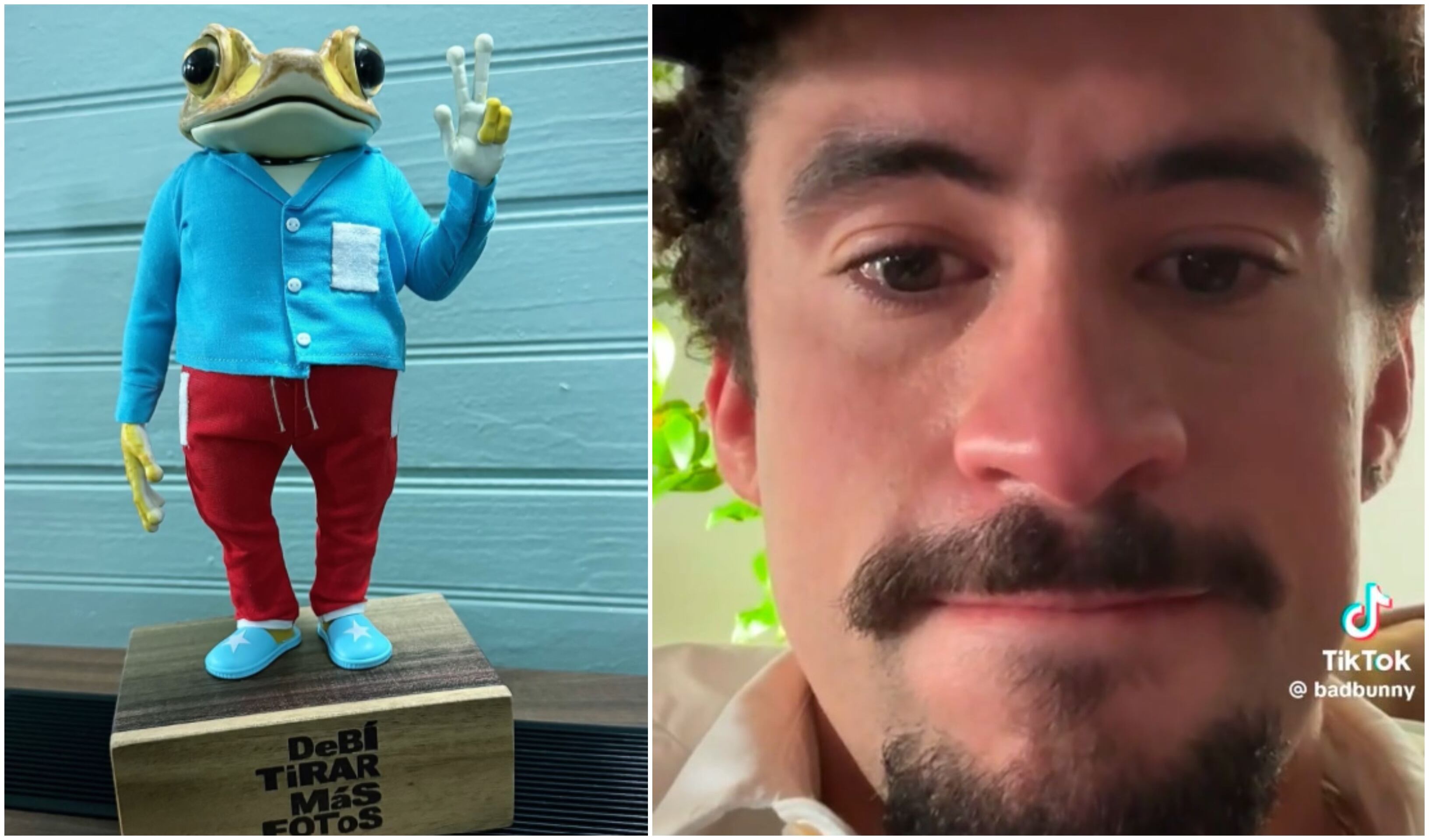 ¿Quién es ‘Concho’? La poderosa historia del sapo que sorprendió en el ...