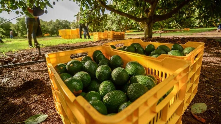 Herndon developer faces setback as Pittsylvania Commission rejects data ...