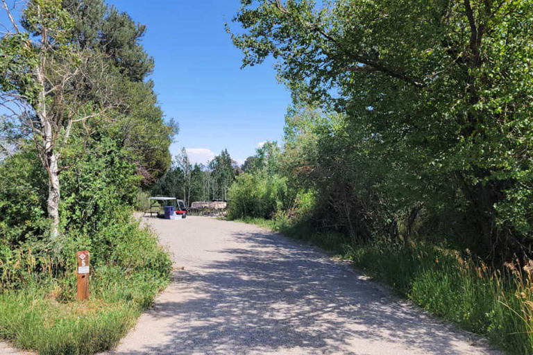 Lower Lehman Creek Campground - Great Basin National Park