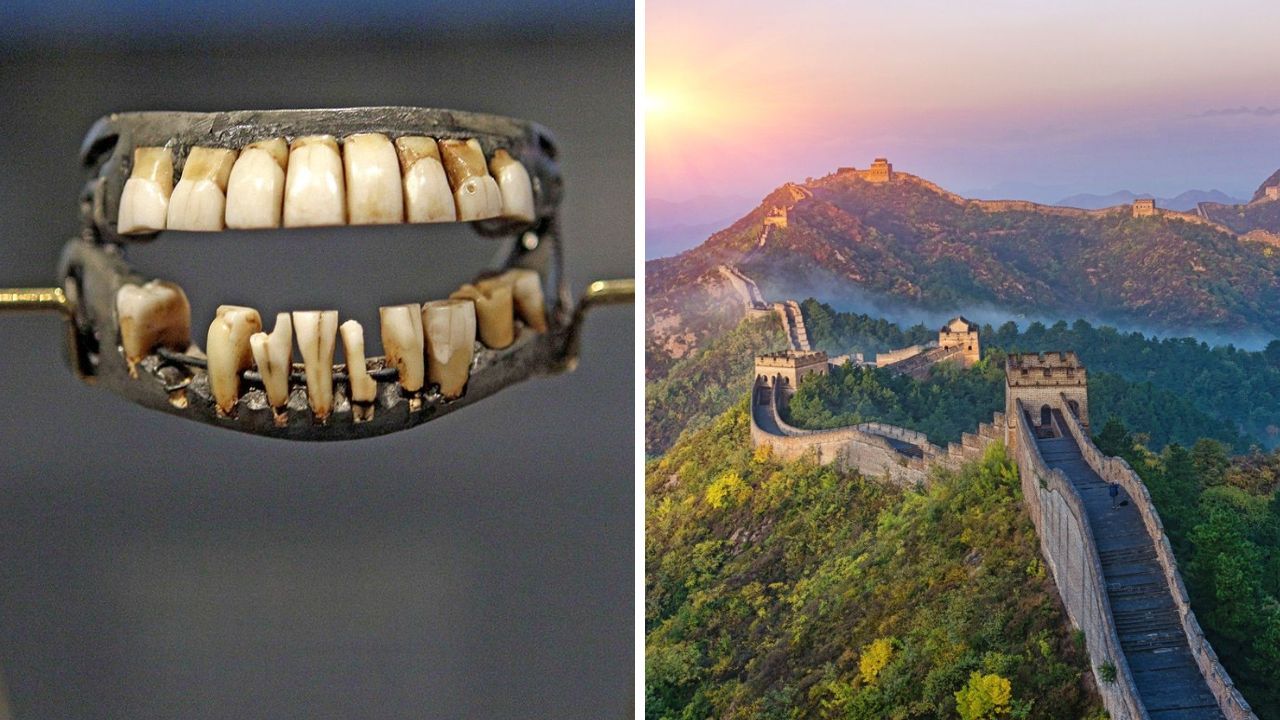 20 Historical Facts They Didn't Teach You in School