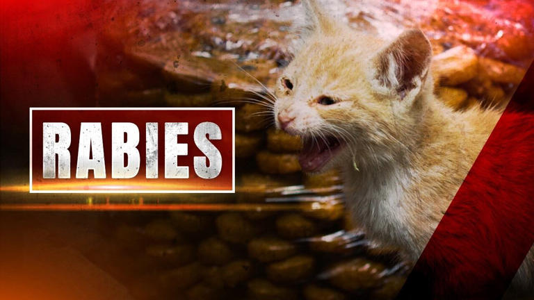 Another animal tests positive for rabies in Bladen County