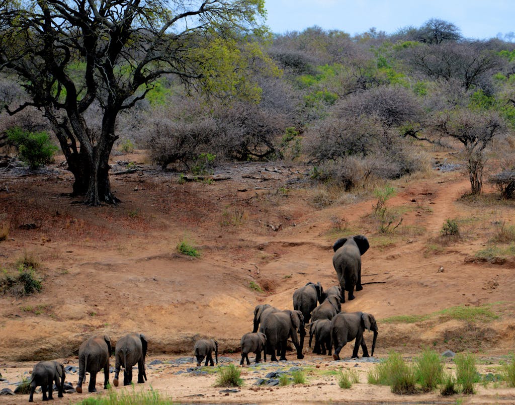 25 Stunning Destinations for an Unforgettable African Adventure