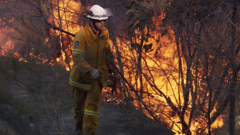 Why are prescribed fires so important to prevent wildfires?