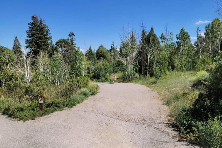Lower Lehman Creek Campground - Great Basin National Park