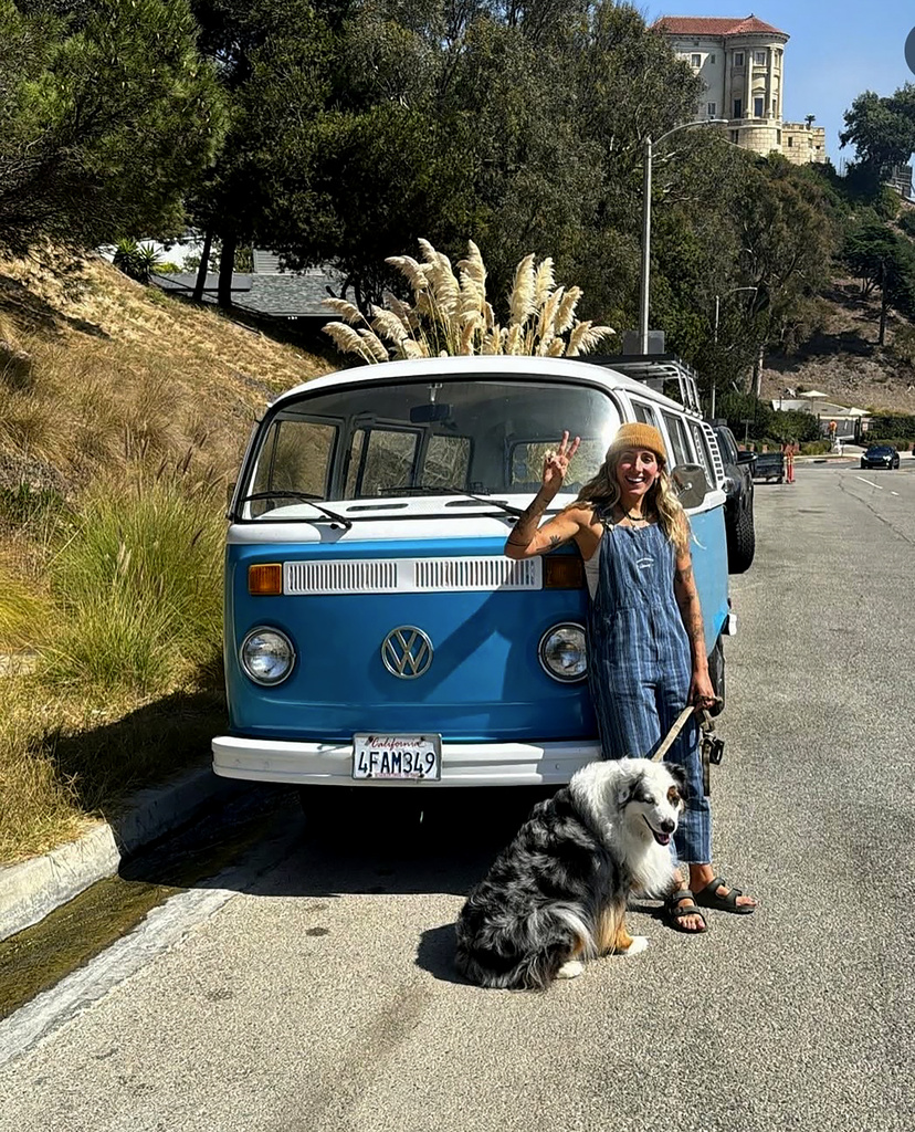 A retro blue VW van miraculously survives deadly Los Angeles fire