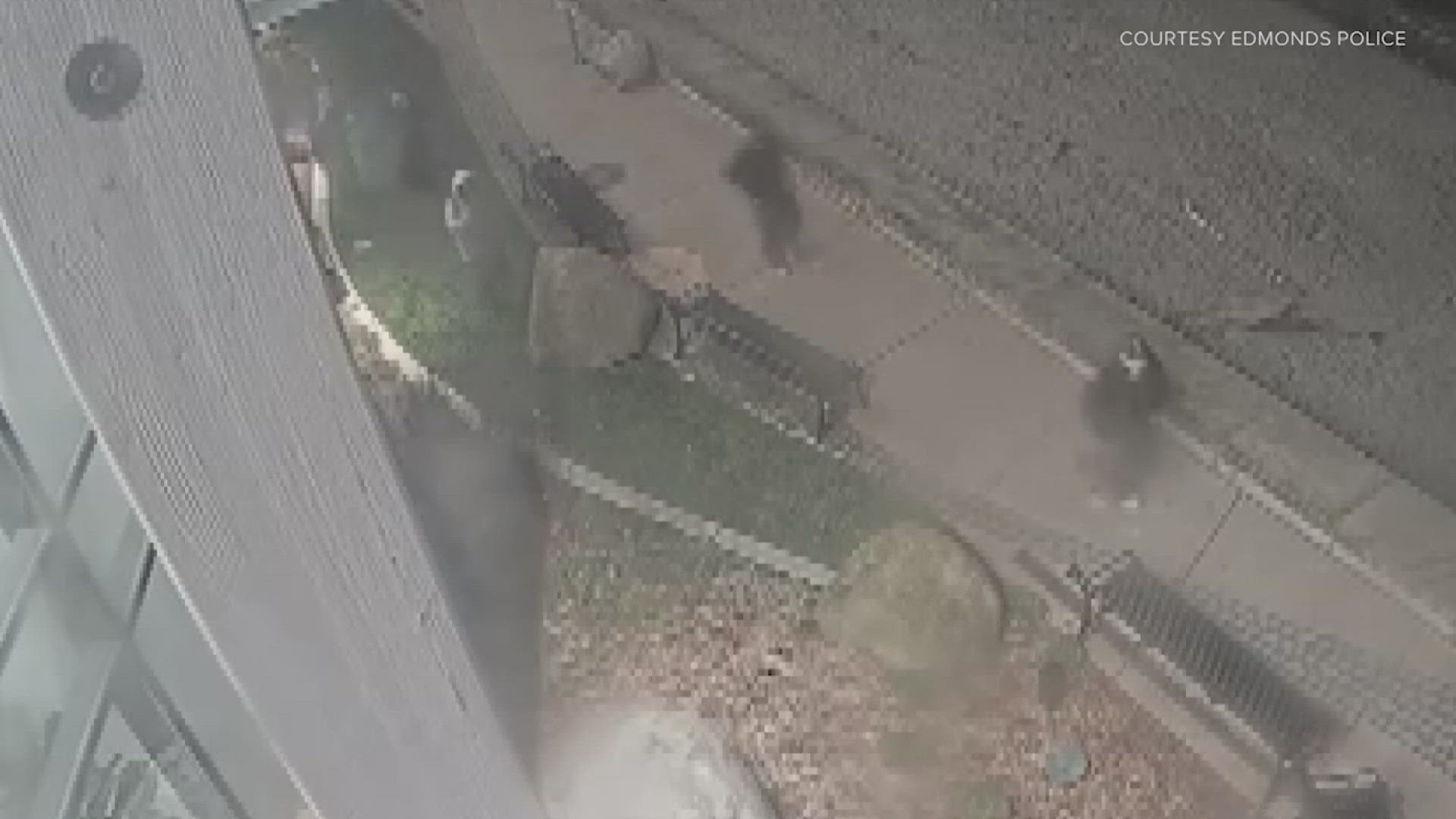Video shows potential suspects in Edmonds shooting