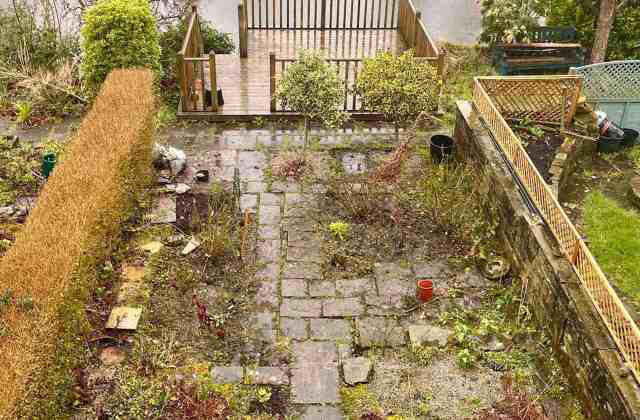 New homeowner shares before-and-after photos of whimsical backyard transformation: '[It] adds ...