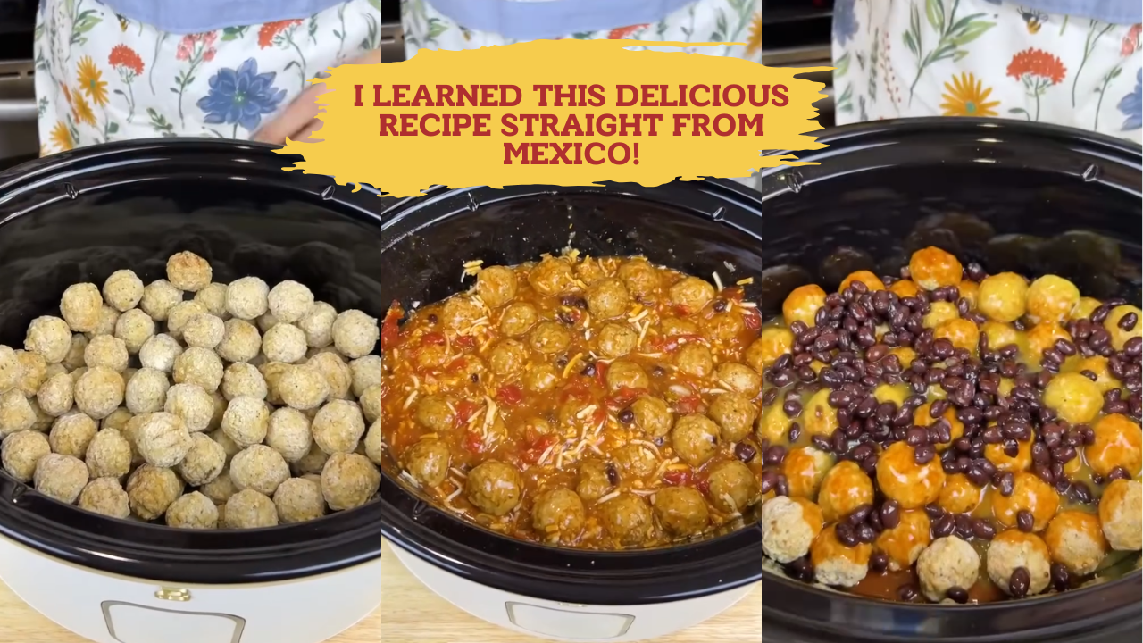 Life with Coco - MSN