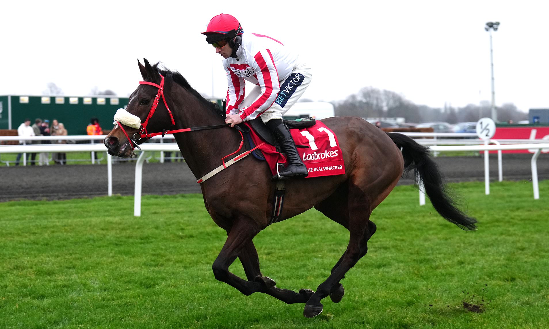 Robin Goodfellow's racing tips: Best bets for Thursday, January 16