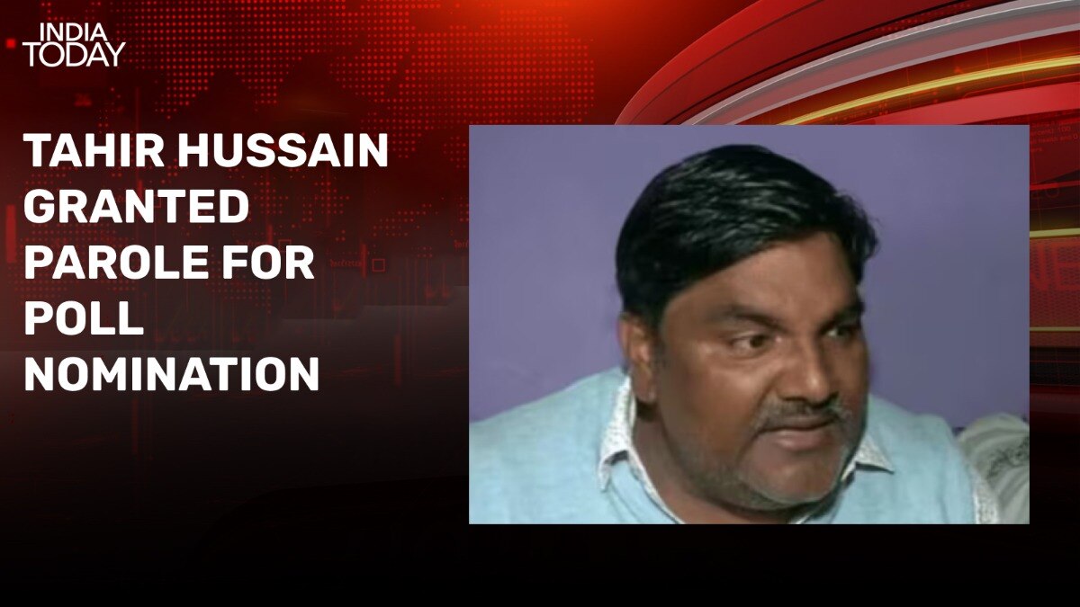 Delhi riots accused Tahir Hussain granted custody parole to file poll ...