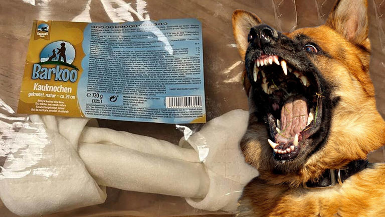 Urgent warning over dog toy that can cause 'werewolf syndrome'